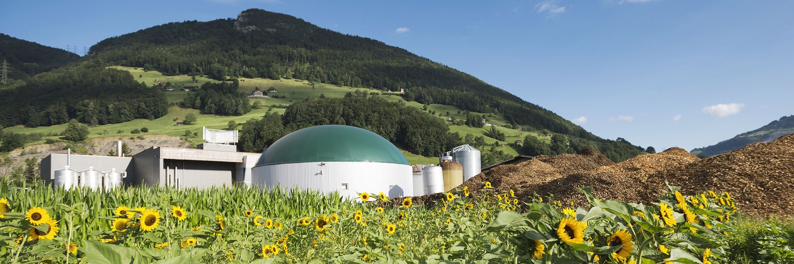 Institute of Bioenergy and Resource Efficiency | FHNW