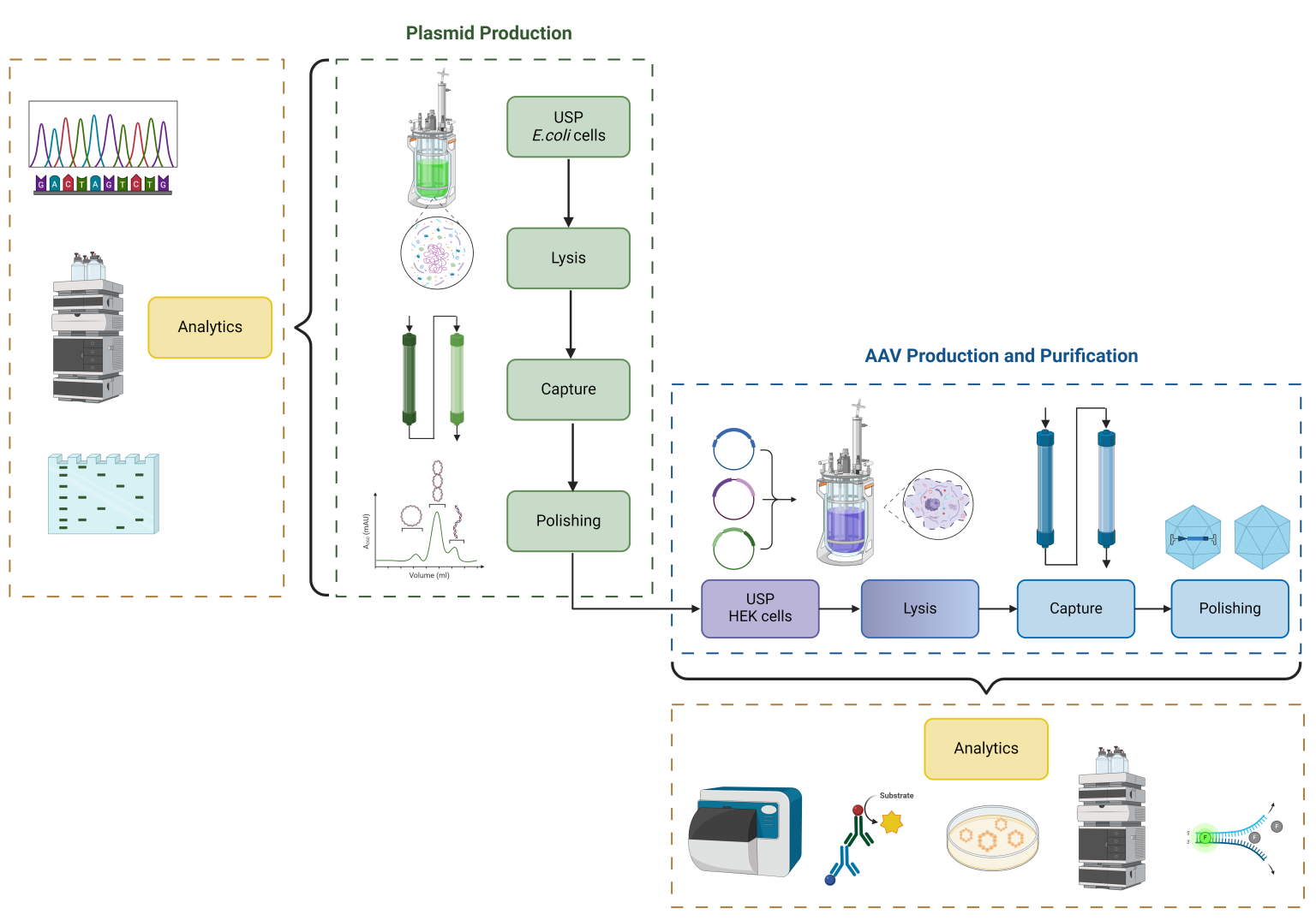 Cell and Gene Therapy Manufacturing - Bioprocess Technology