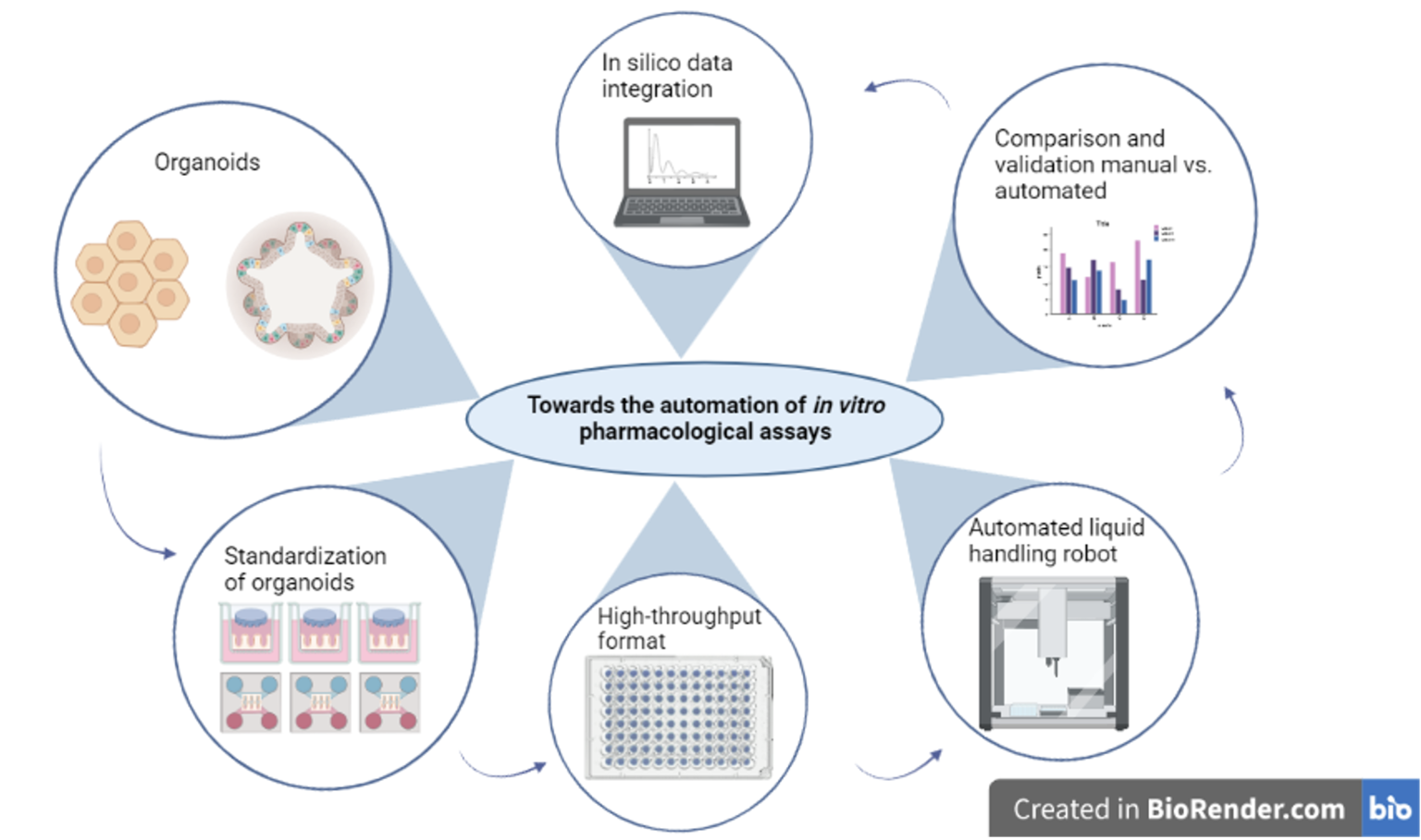 Towards the automation of organoid-based in vitro pharmacological assays - Projects in Digital ...