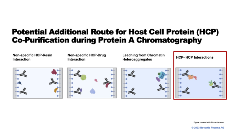 Analysis of Host Cell Proteins in Protein A Eluates of Therapeutic ...