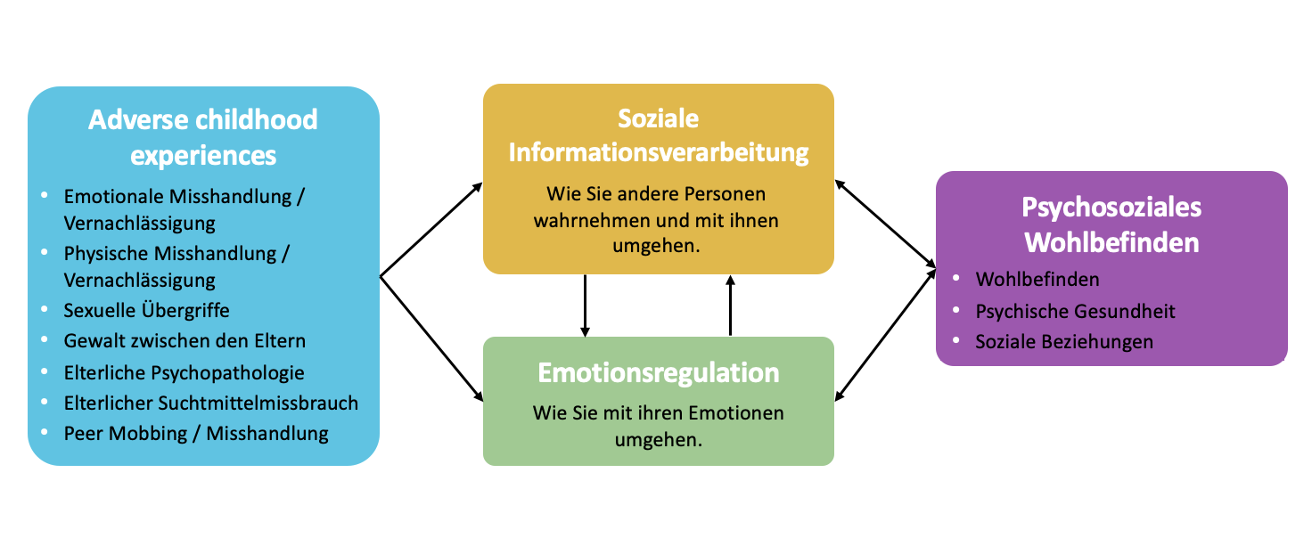 Über das Projekt - FACE Projekt Soziale Arbeit