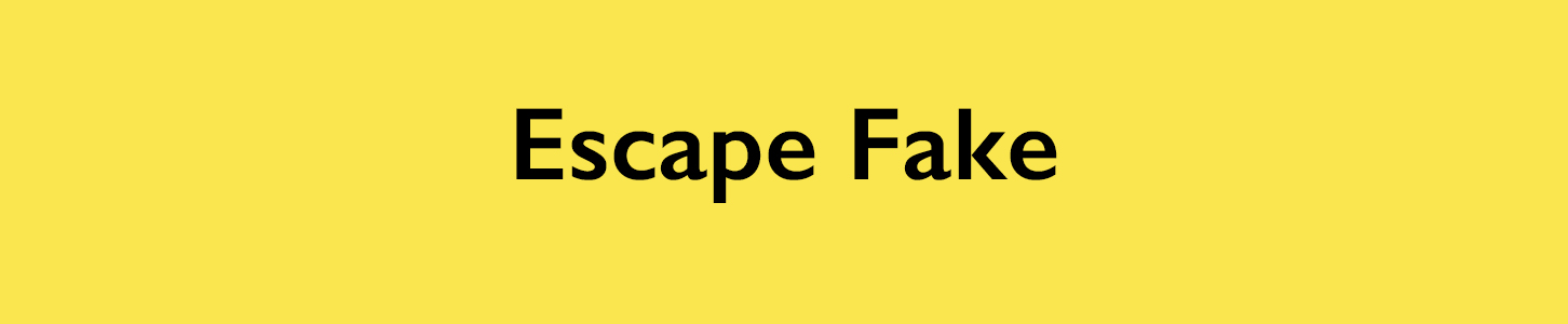 Escape Fake - Gamification zur Entwicklung von Medienkompetenz