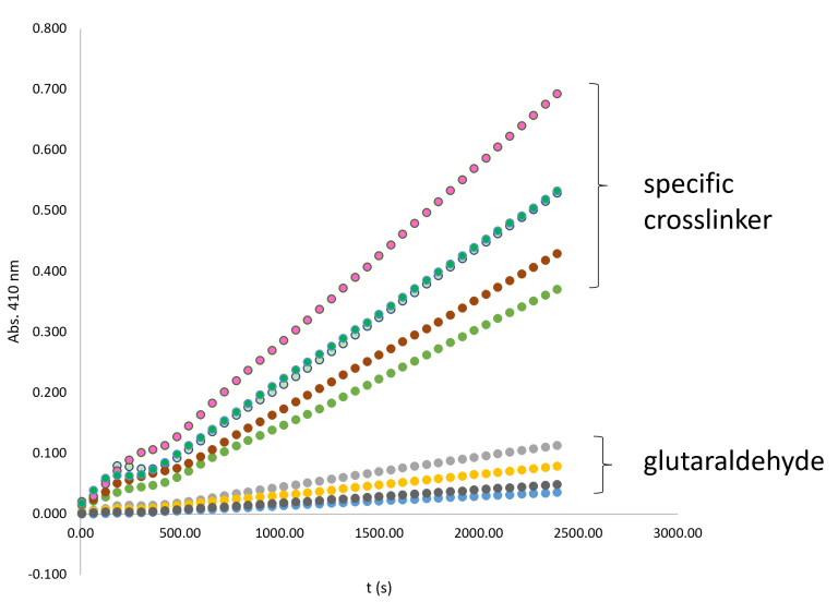 Development of a new Coupling Strategy for Enzyme-conjugated Antibodies ...
