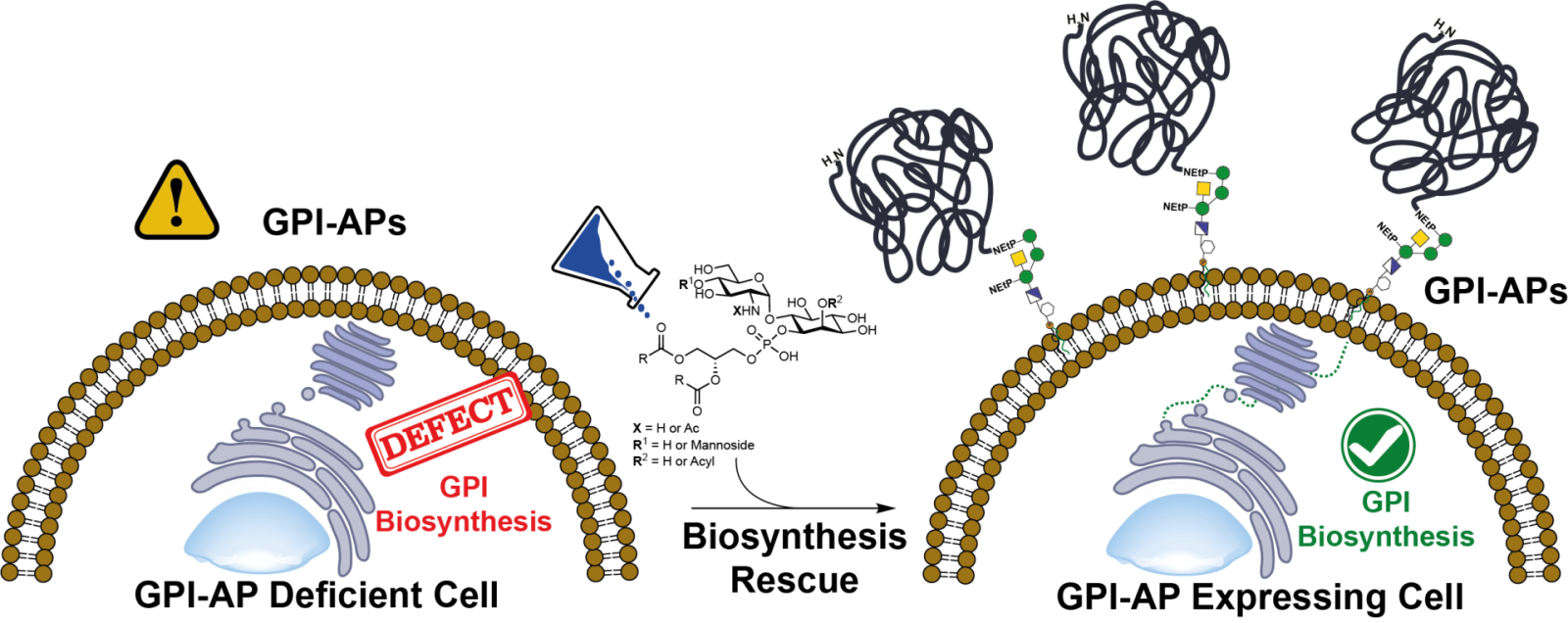 Biosynthesis Rescue - ICB Projektplattform