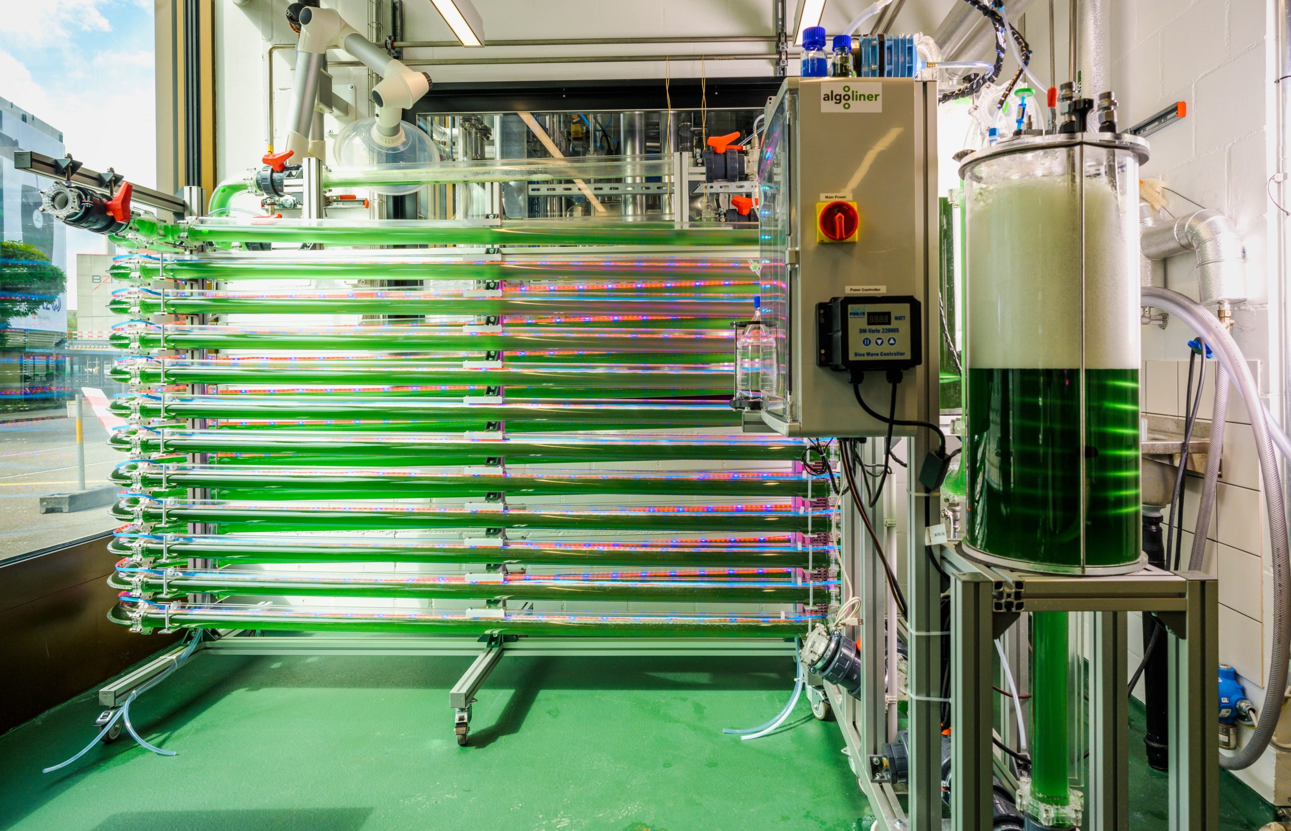 Decentralised production of green fuel from surplus algae oil - ICB ...