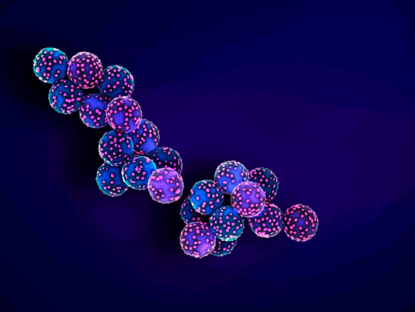 Research Groups - ICB Projektplattform