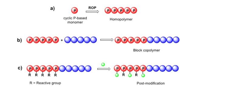 Novel biocompatible and biodegradable polymers for biomedical ...