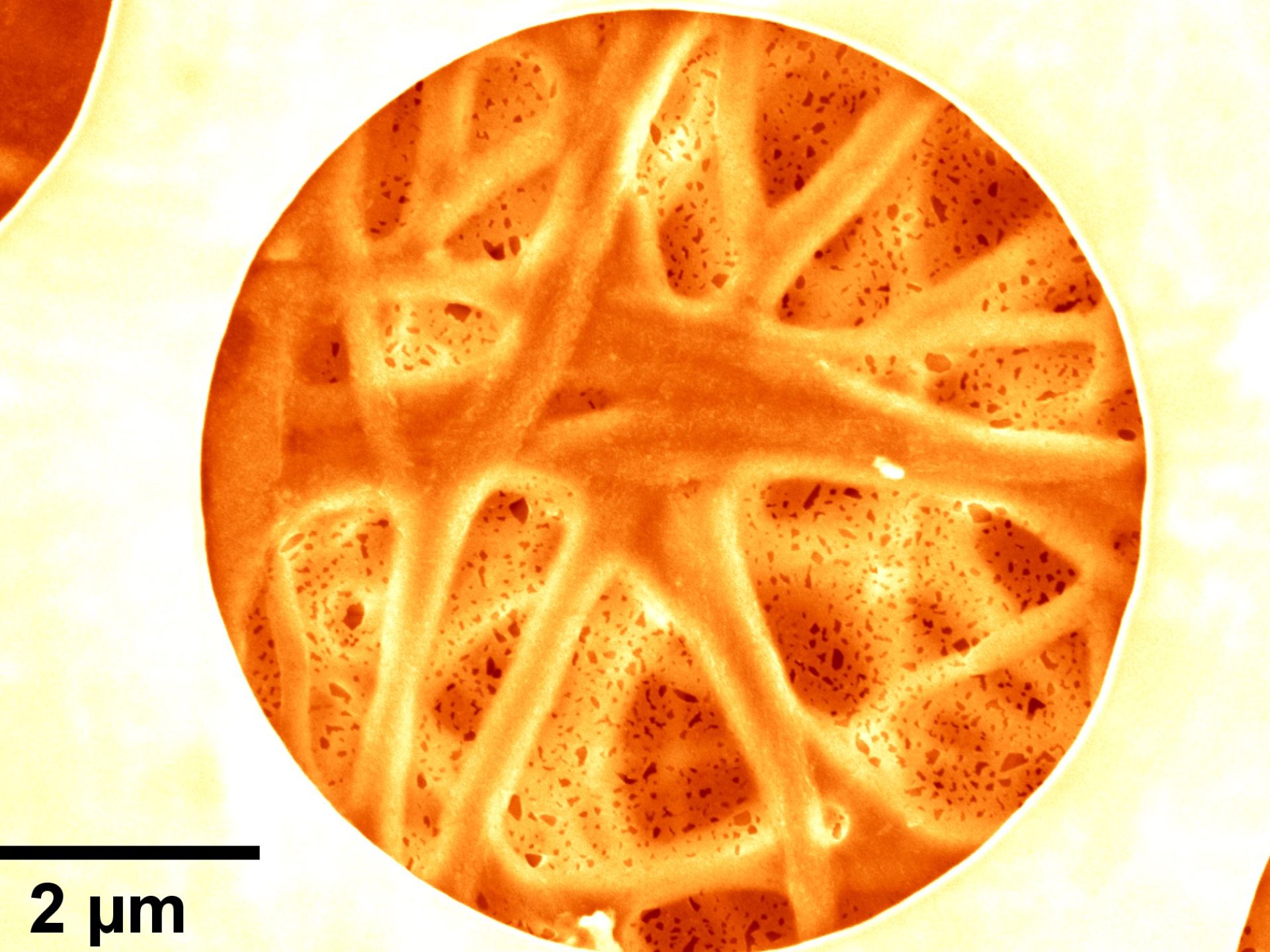 Research Groups - ICB Projektplattform