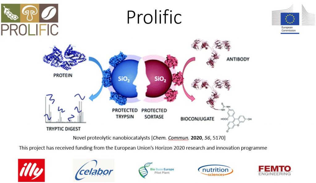 Prolific - ICB Projektplattform