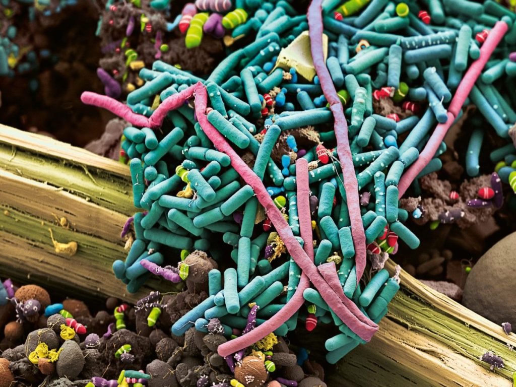 Research Groups - ICB Projektplattform