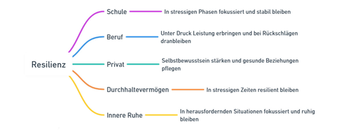 Warum braucht es Resilienz, um beruflich und privat Erfolg zu haben ...