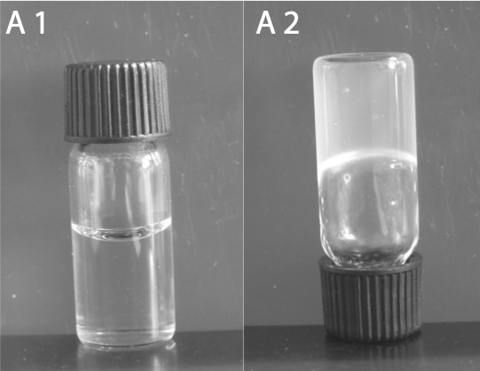 P11 - an innovative self assembling peptide for biocompatible hydrogels ...