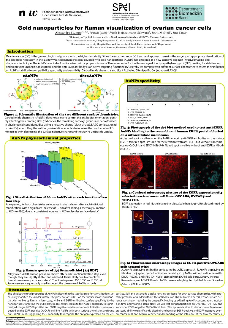 Alessandro's Poster at the Swiss Nanoscience Institute - Snow Symposium ...