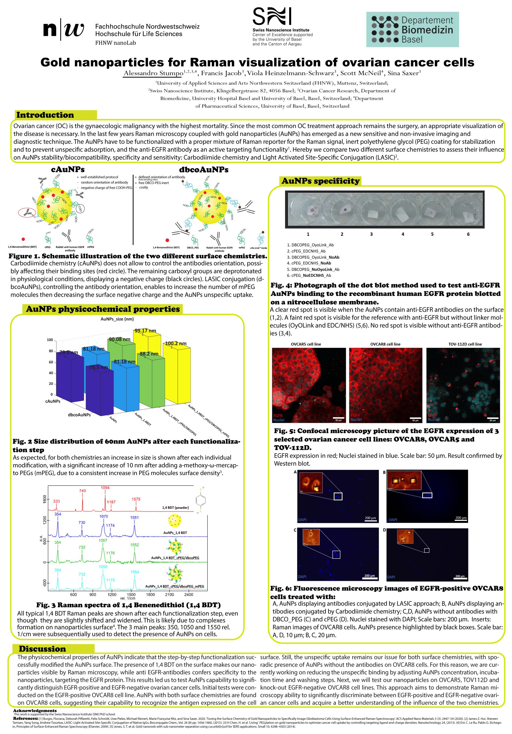 Alessandro's Poster at the Swiss Nanoscience Institute - Snow Symposium ...