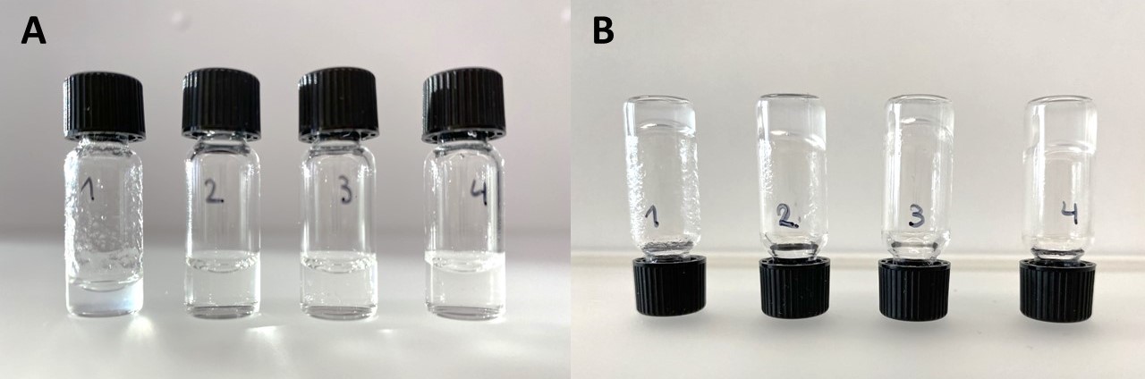 P11 - an innovative self assembling peptide for biocompatible hydrogels ...