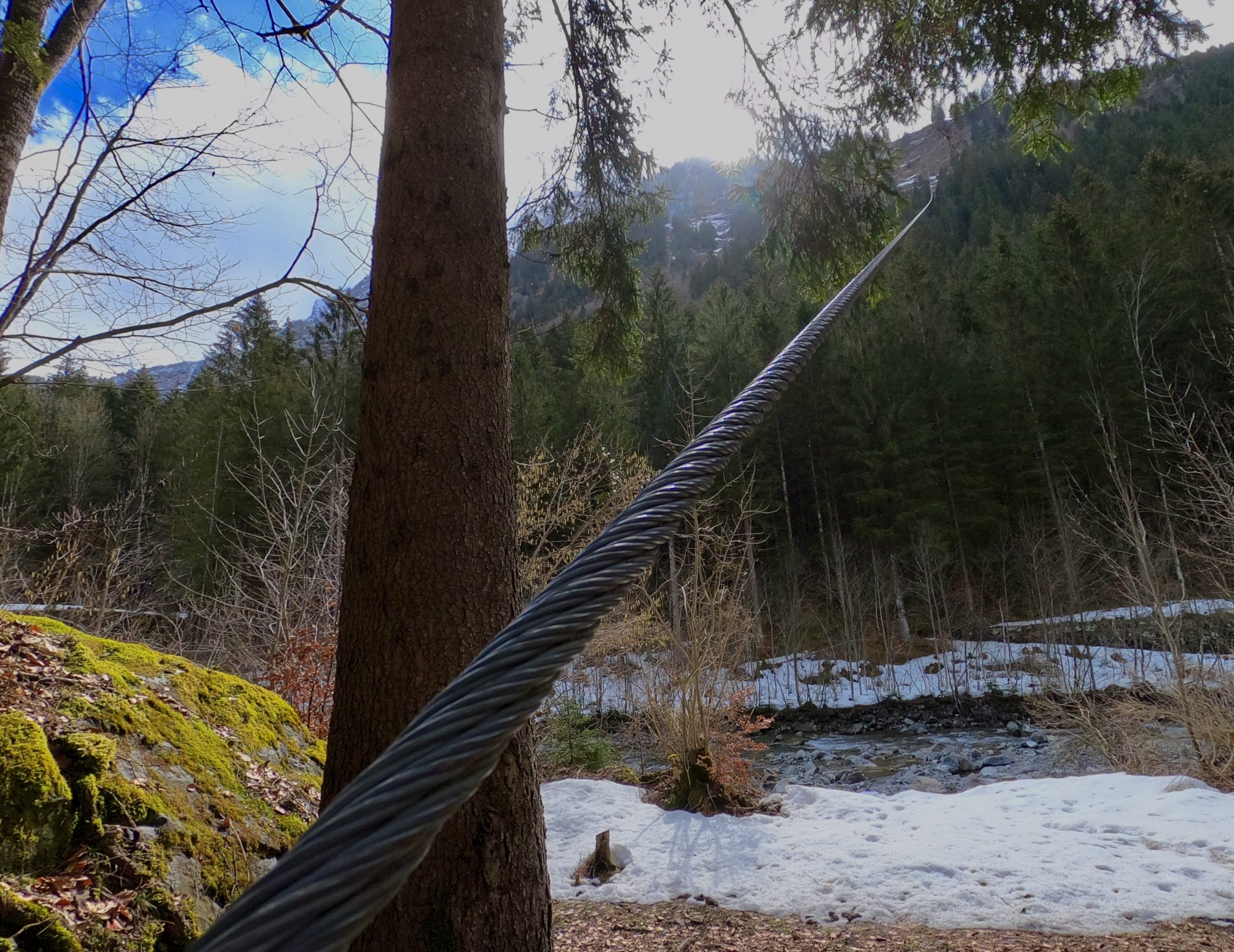 Zwitschern und quatschen - Alpine Netze der Verbundenheit