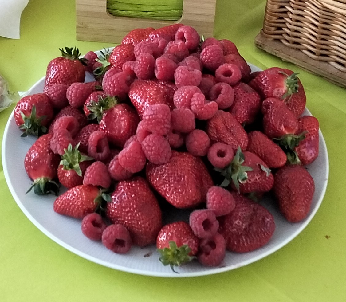 Erdbeeren als Mittel gegen Kränkungen - WIngWomen-Event - Blog des ...